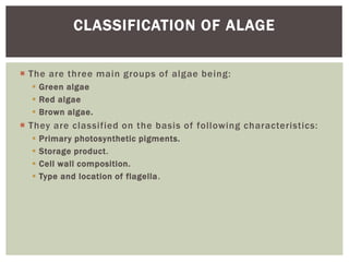 Algae classification | PPTX