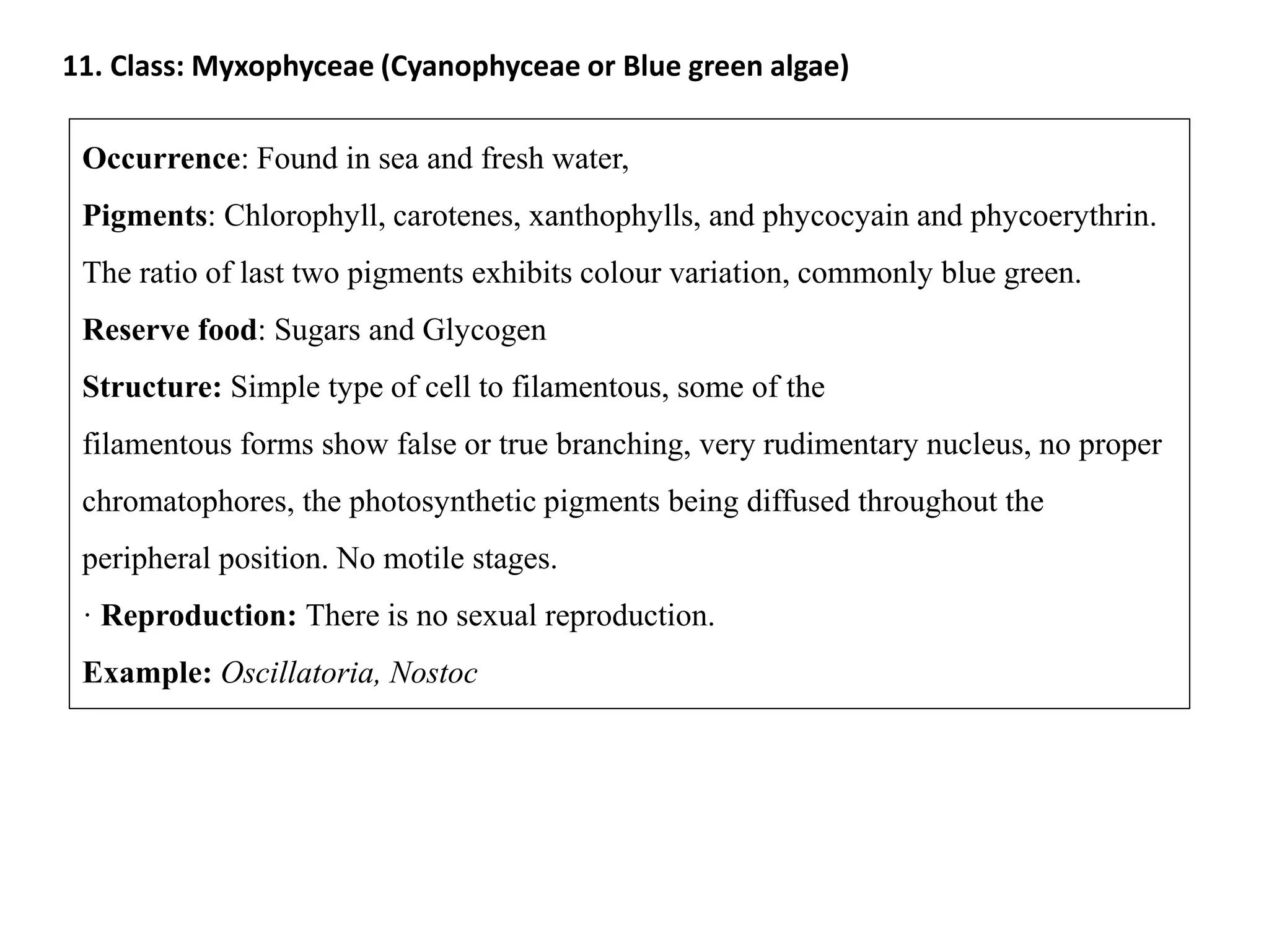 algae classification.pptx