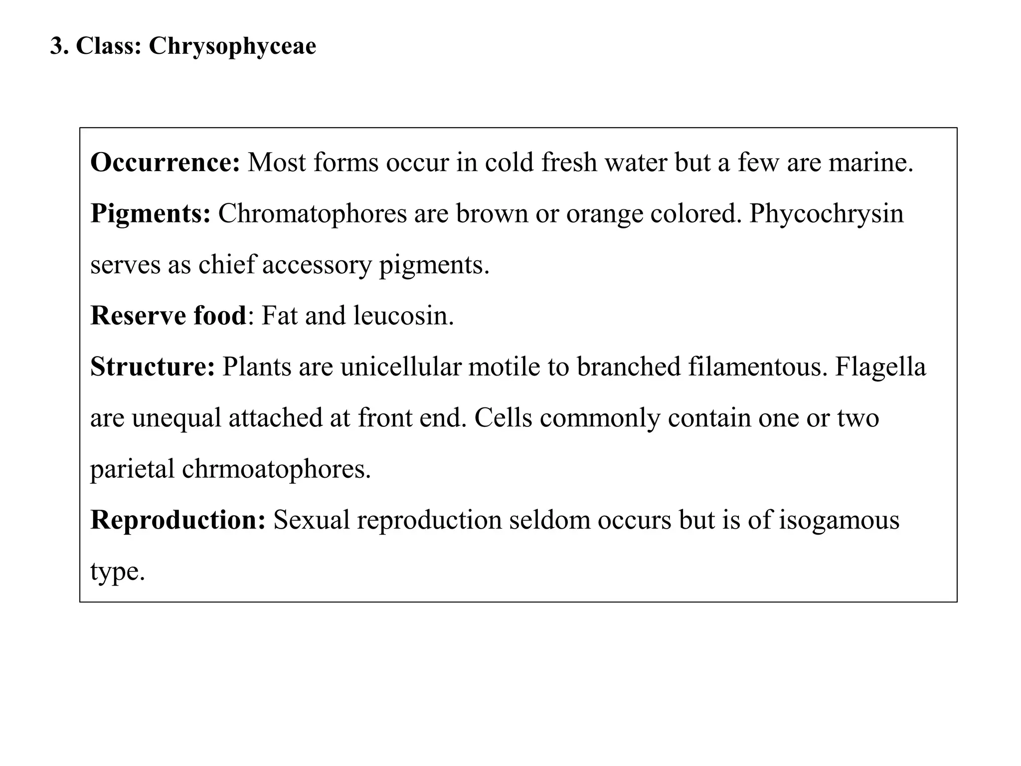 algae classification.pptx