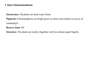 algae classification.pptx