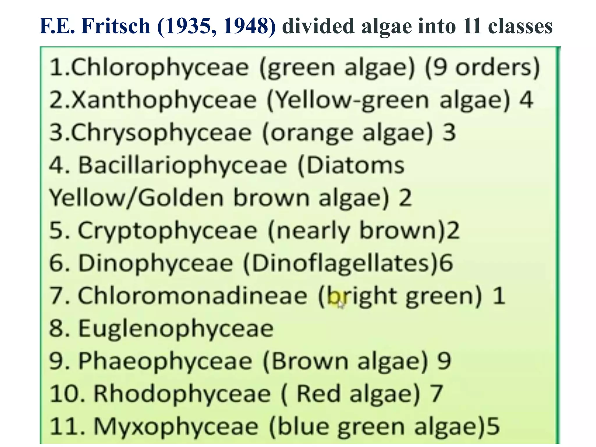 Algae Classification.pptx