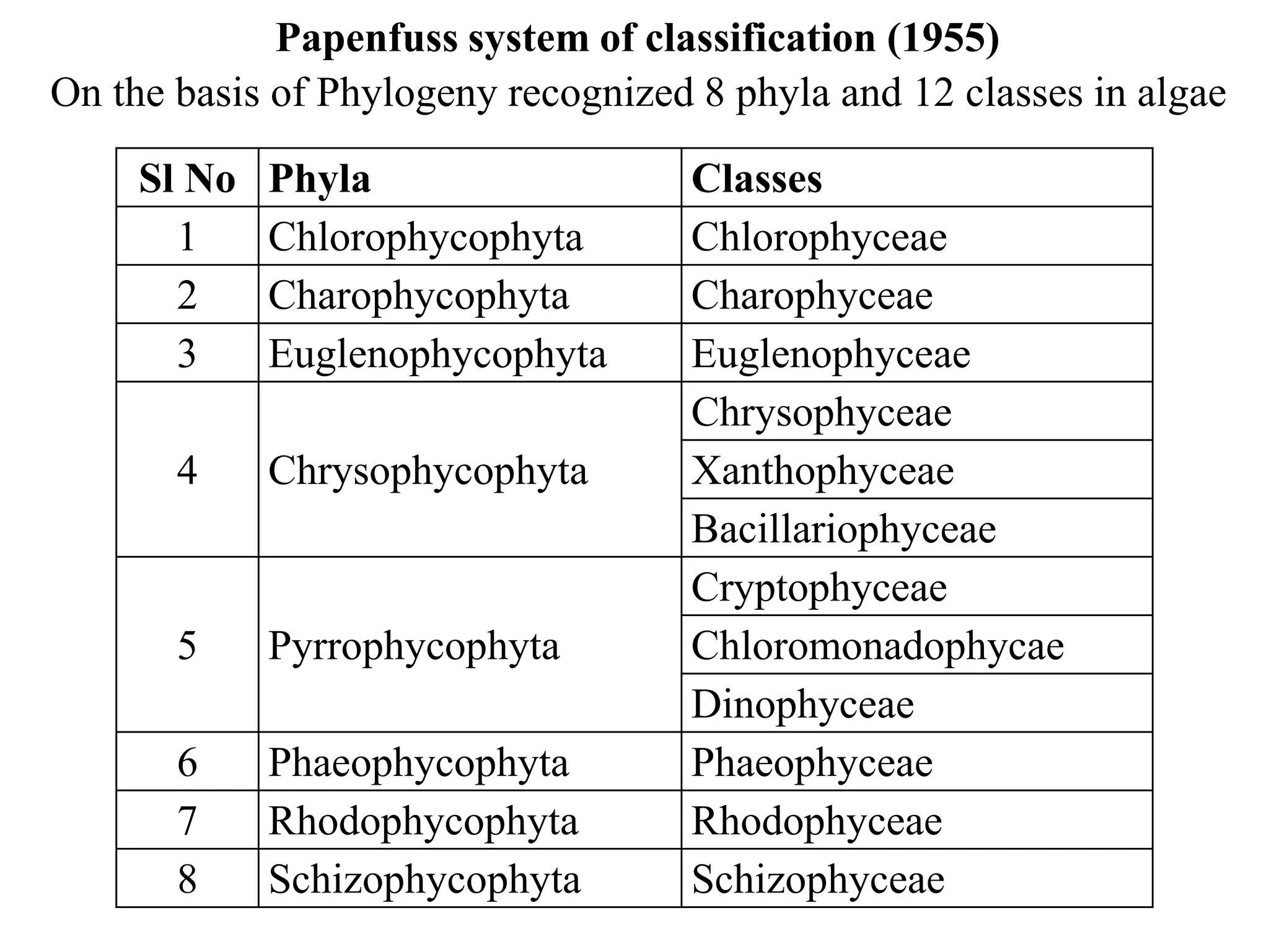 Algae Classification.pptx