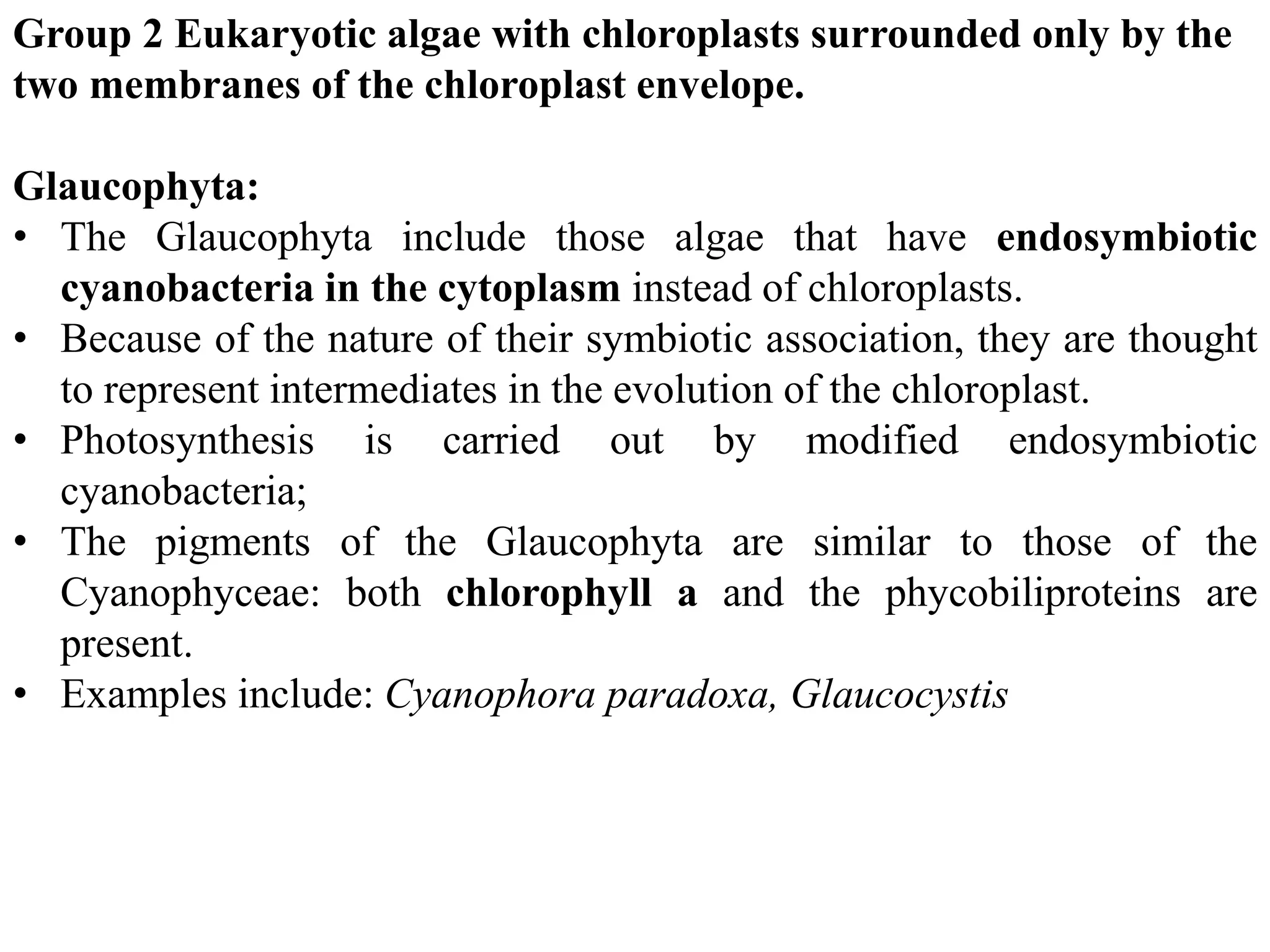 Algae Classification.pptx