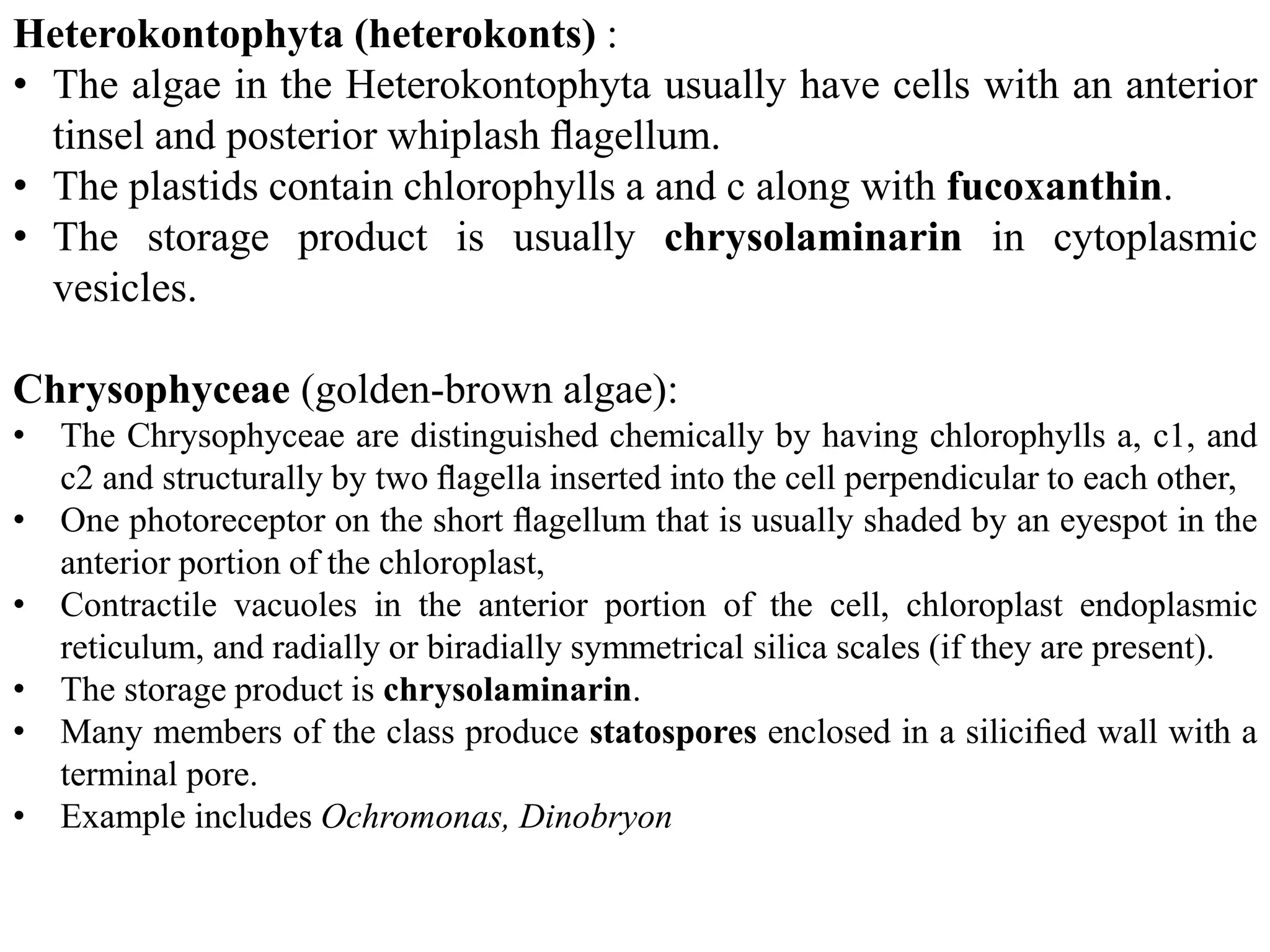 Algae Classification.pptx