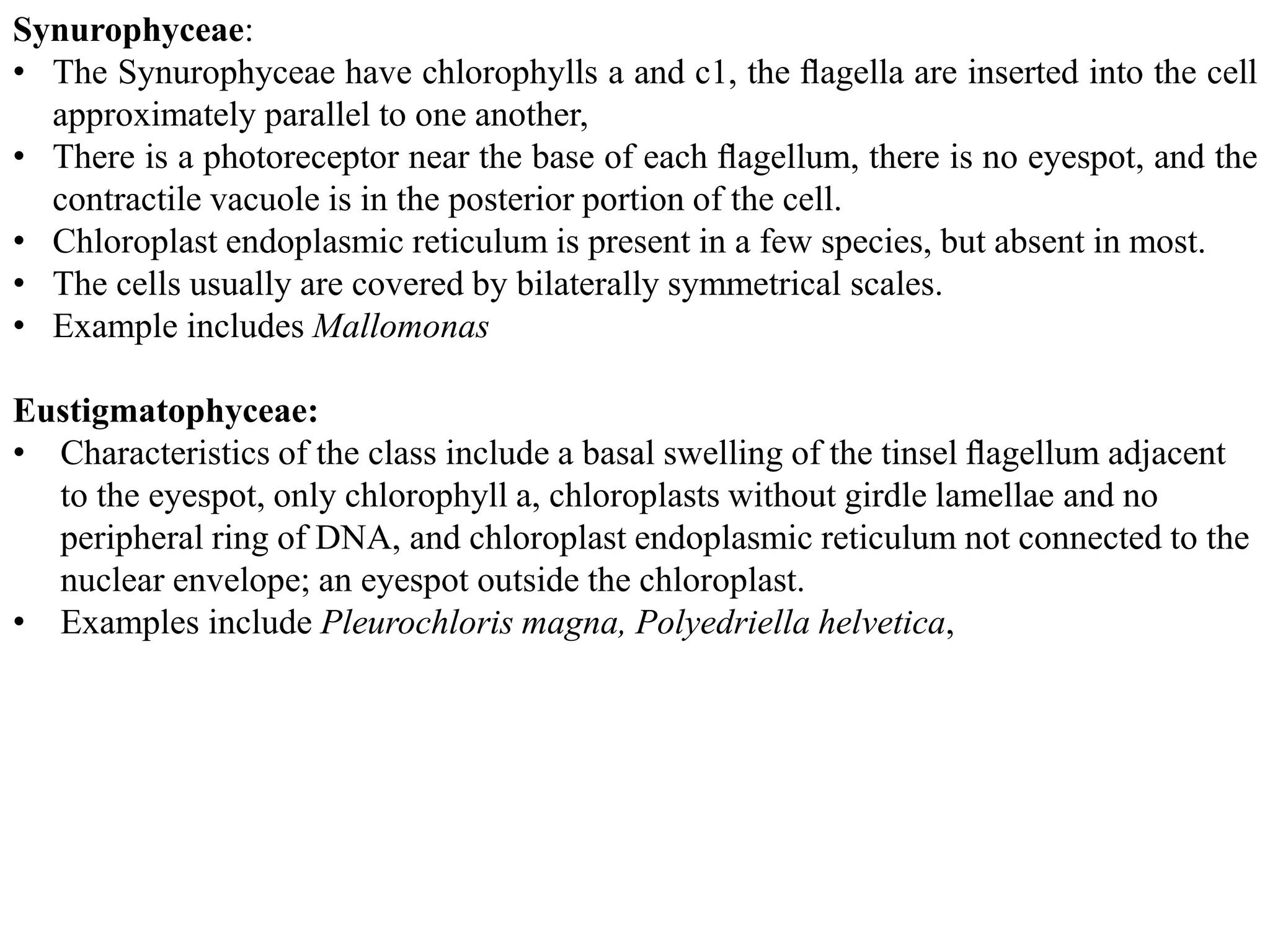 Algae Classification.pptx