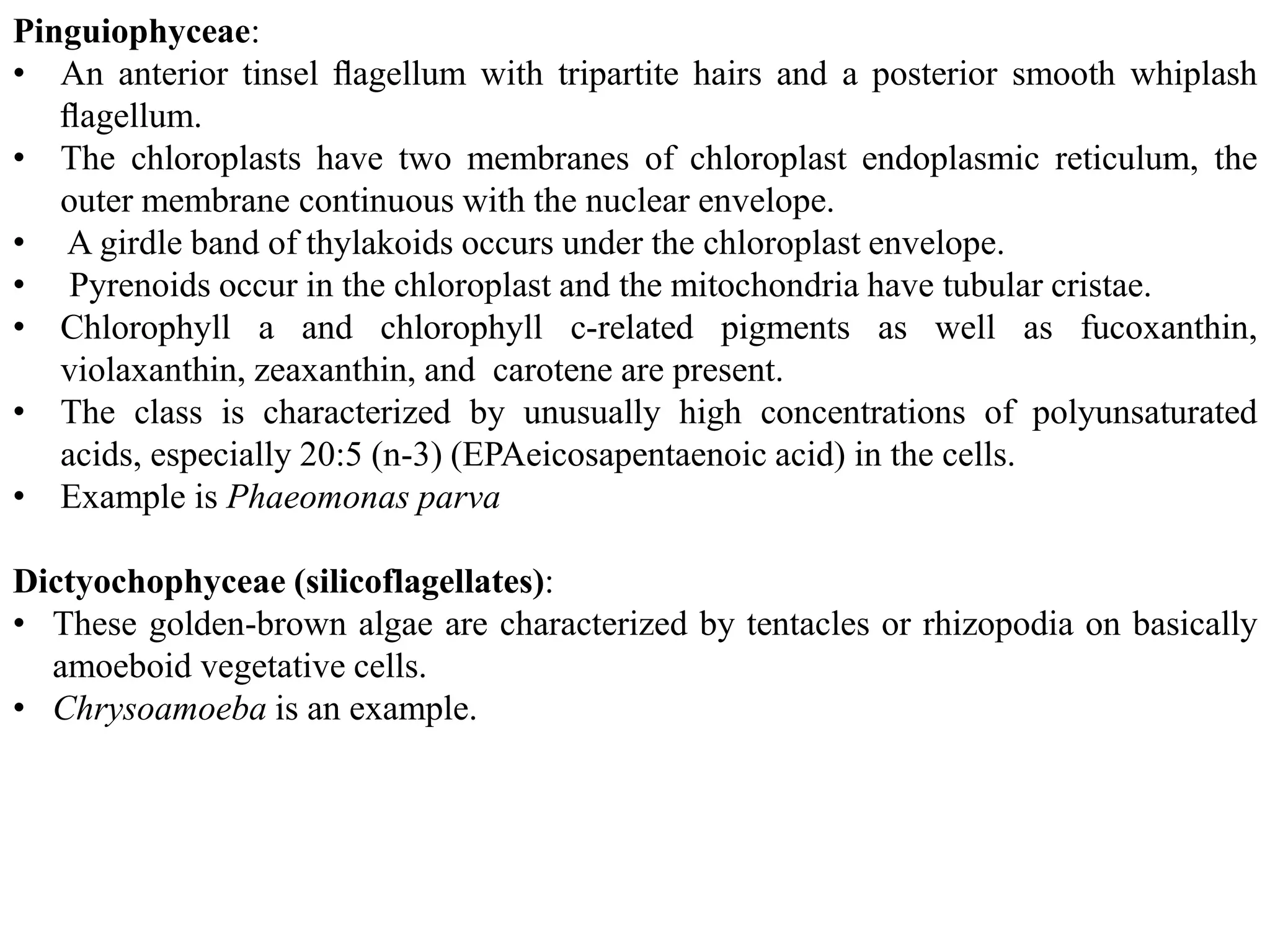 Algae Classification.pptx