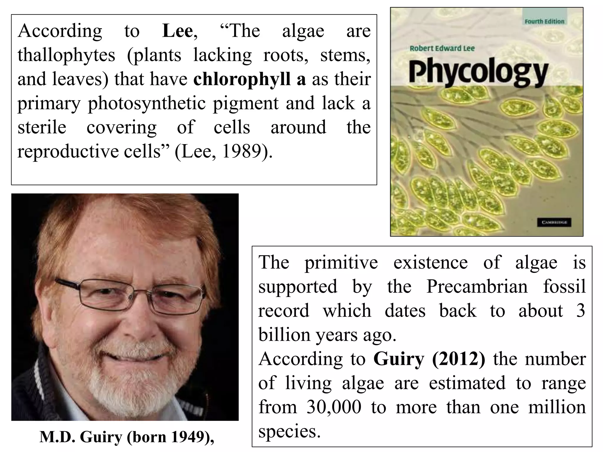 Algae Classification.pptx