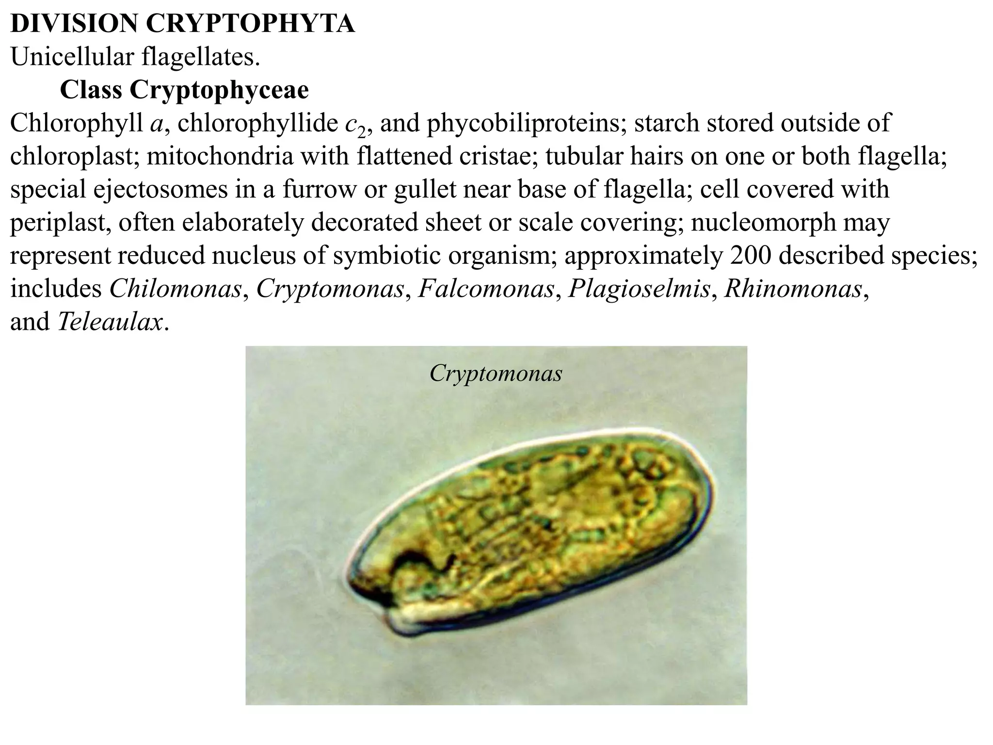 Algae Classification.pptx