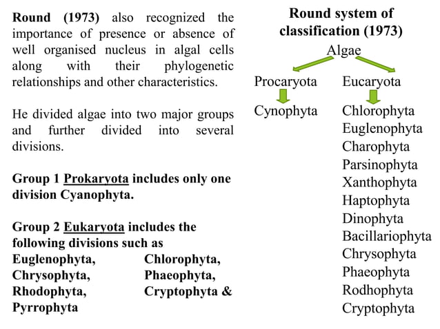 Algae Classification.pptx