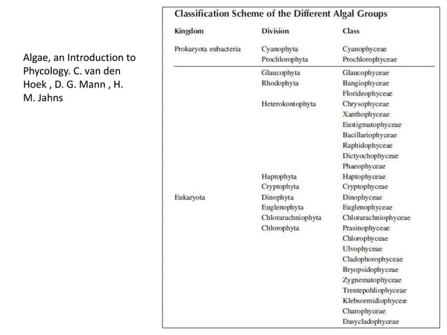 Algae Classification.pptx