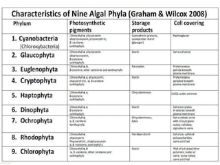 Algae Classification.pptx
