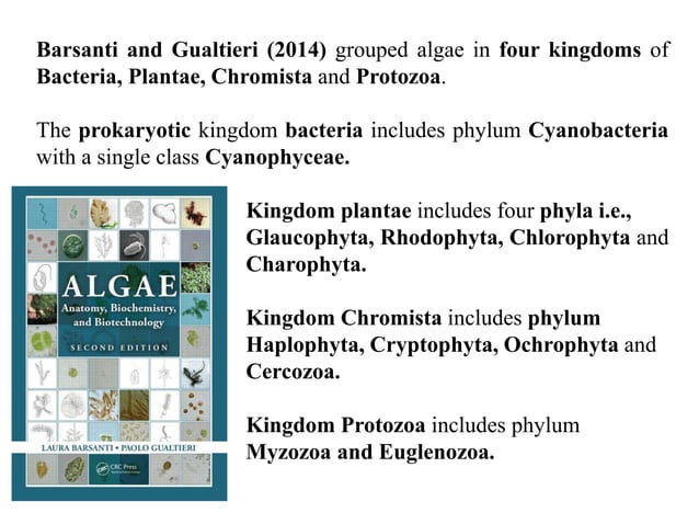 Algae Classification.pptx