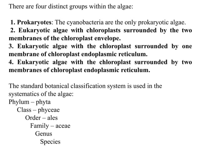 Algae Classification.pptx