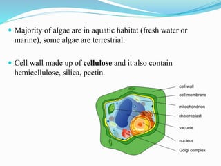 Algae classification and structure | PPTX | Biological Sciences | Science