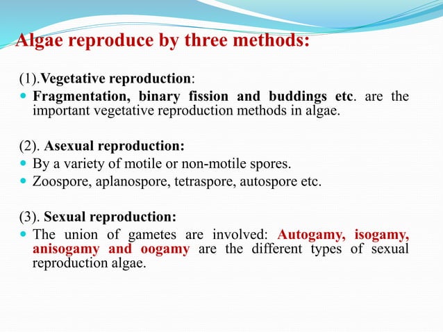 Algae classification and structure | PPTX | Biological Sciences | Science