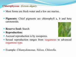 Algae classification and structure | PPTX | Biological Sciences | Science
