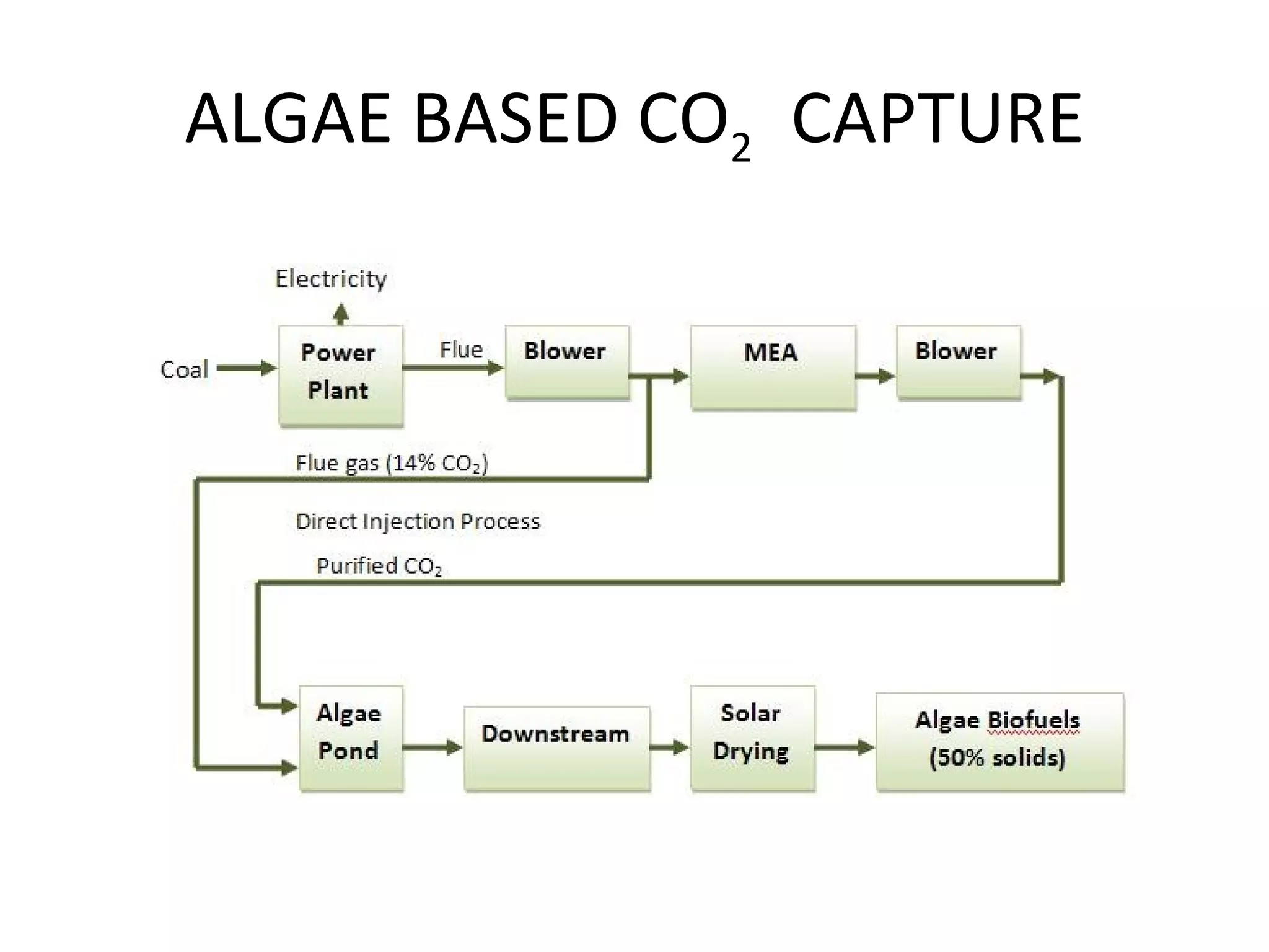 Algae based CO2 capture | PPT