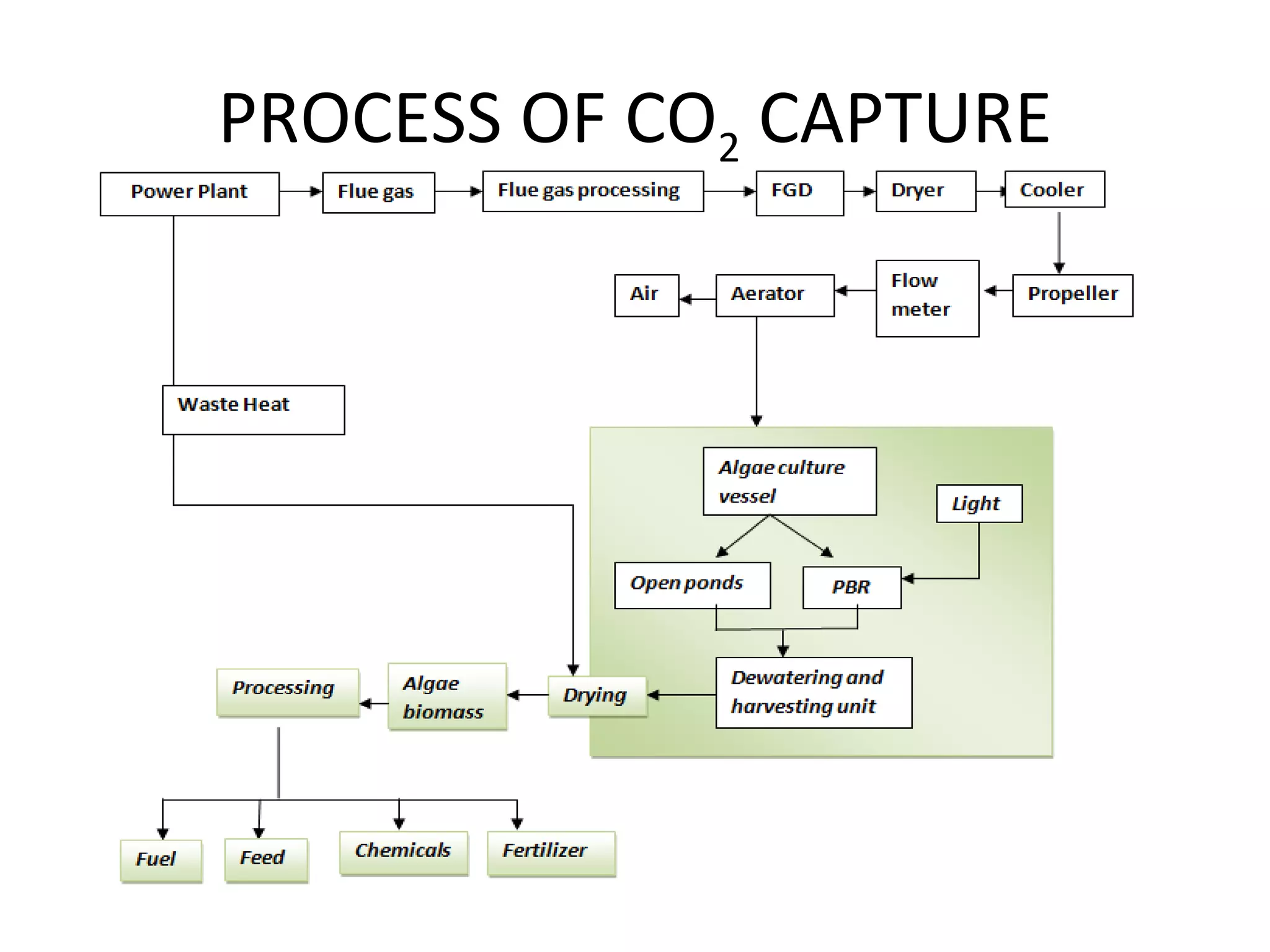Algae based CO2 capture | PPT