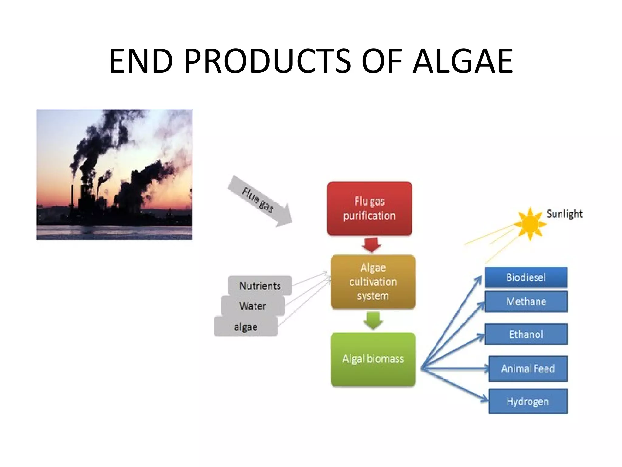 Algae based CO2 capture | PPT