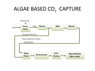 Algae based CO2 capture | PPT