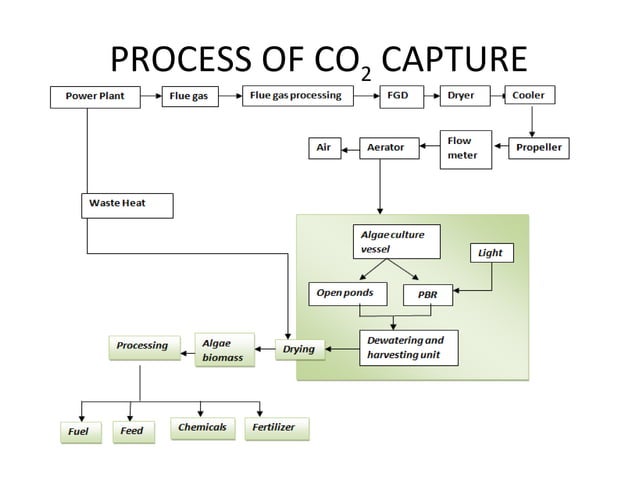 Algae based CO2 capture | PPT | Chemistry | Science
