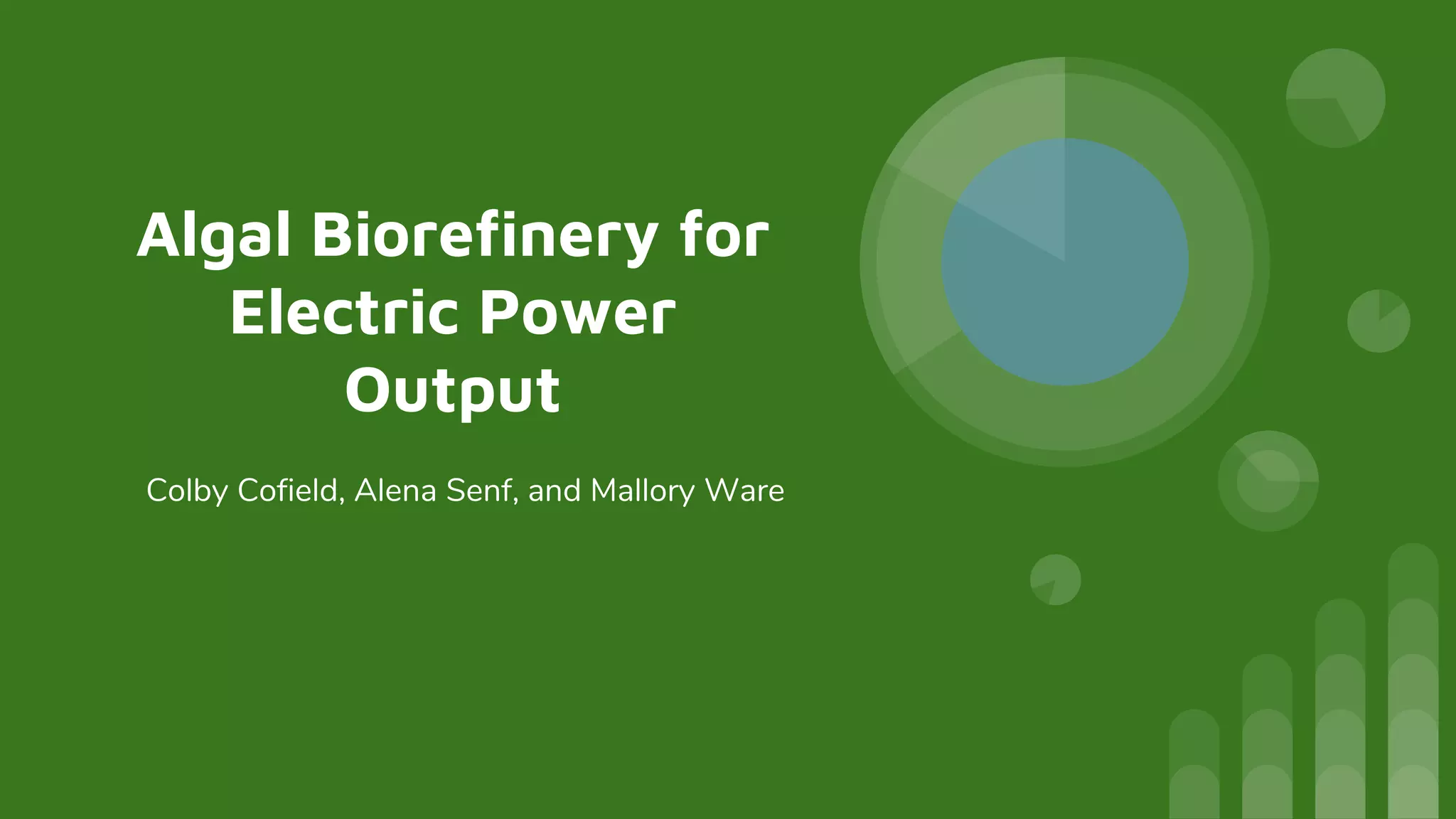 Algal Biorefinery for Electrical Power Output | PPTX | Power and Energy ...