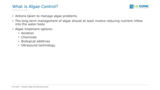 Algae Control Methods | PPT