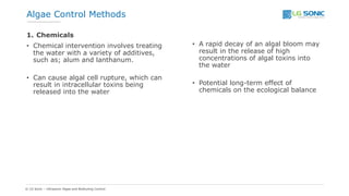 Algae Control Methods | PPT