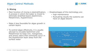 Algae Control Methods | PPT
