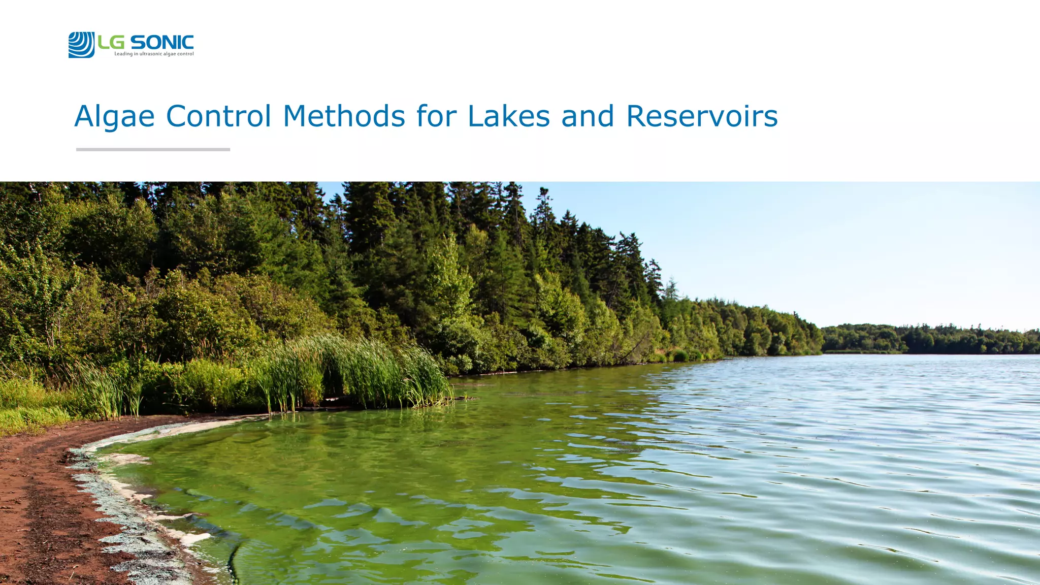 Algae Control Methods | PPT