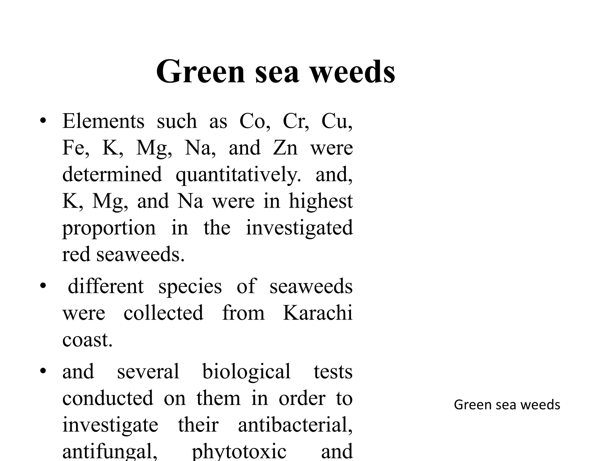 Algae distribution in pakistan | PPTX