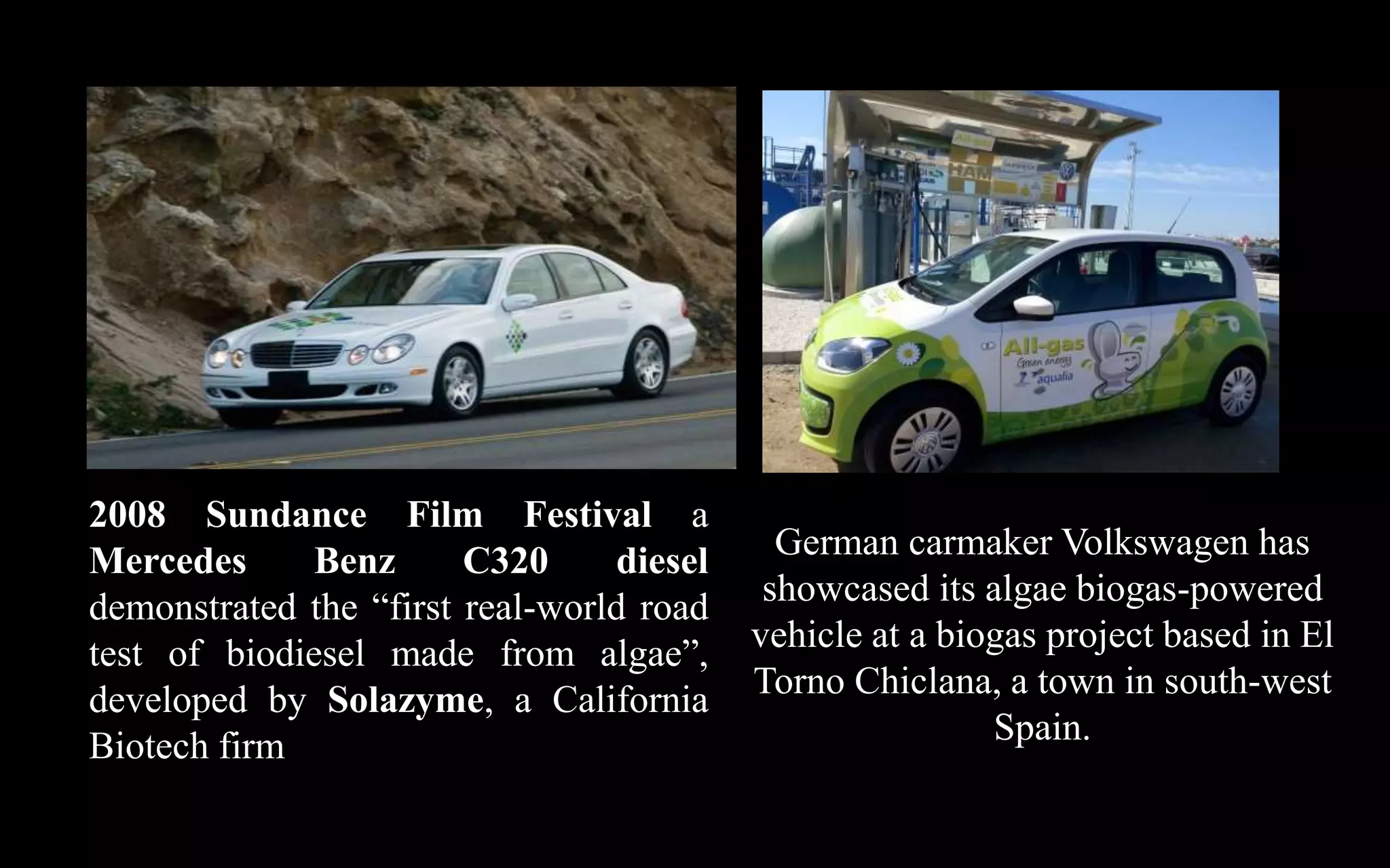 Algae Economic Importance | PPTX