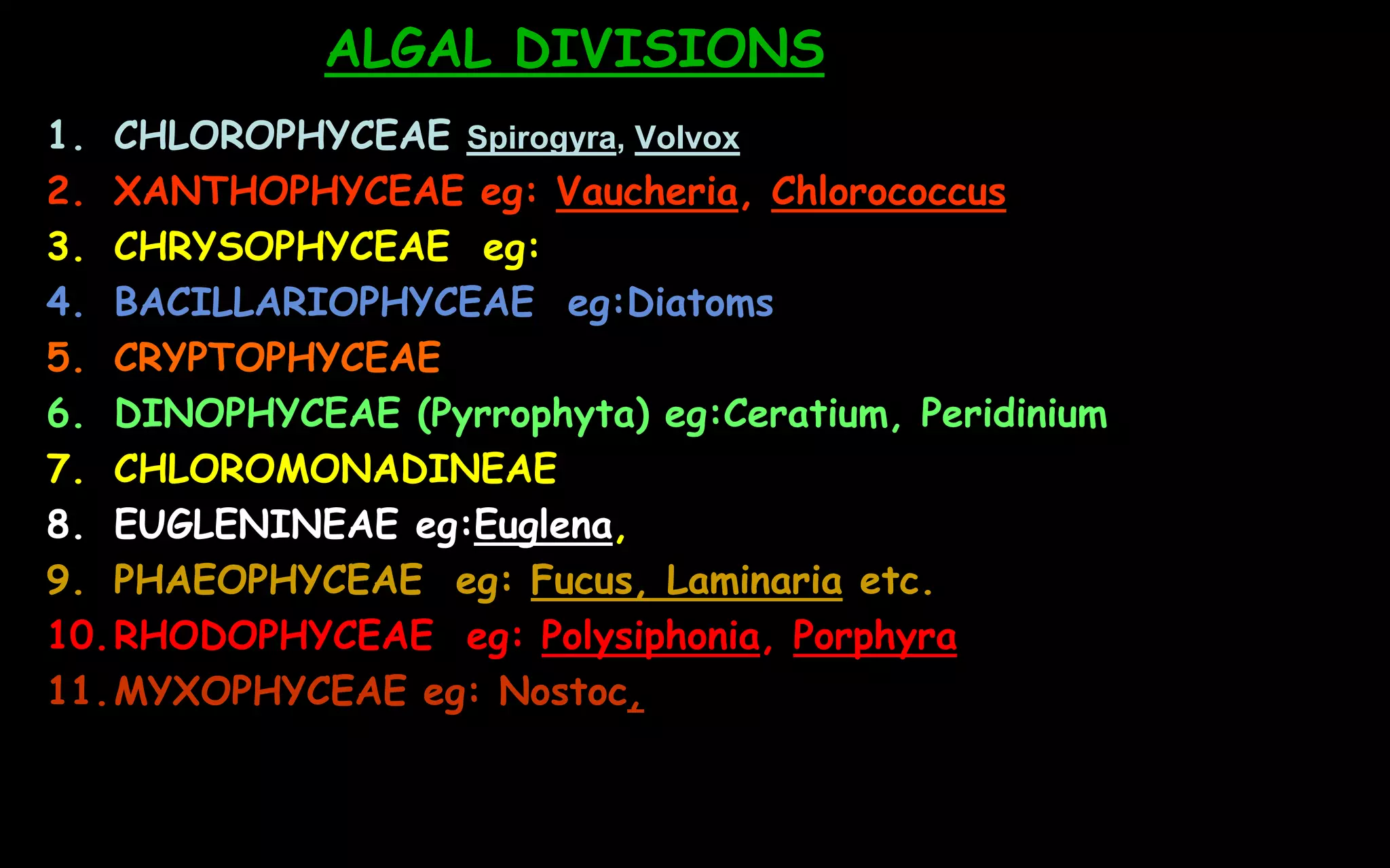 Algae Economic Importance | PPTX