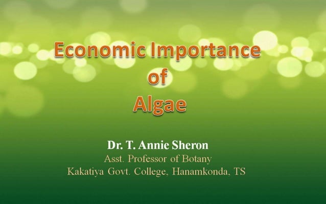 Algae Economic Importance | PPTX
