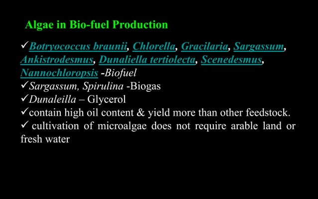 Algae Economic Importance | PPTX