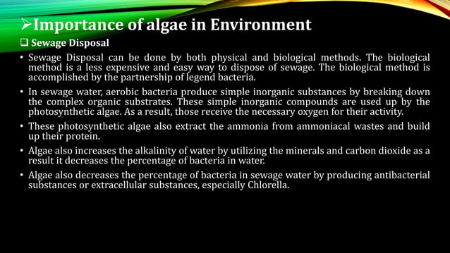 Algae economic importance | PPT