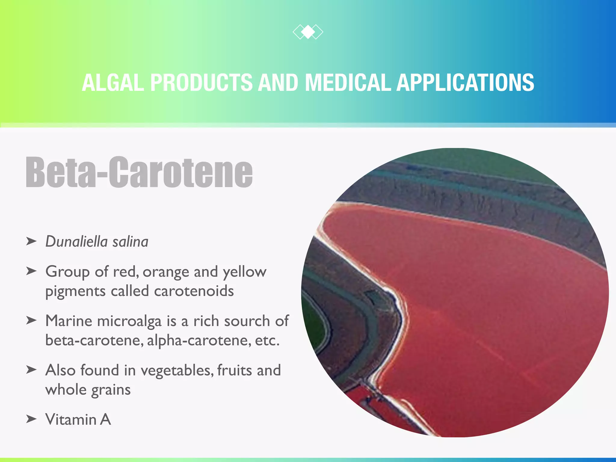 Algae Products and their Medical Applications | PDF