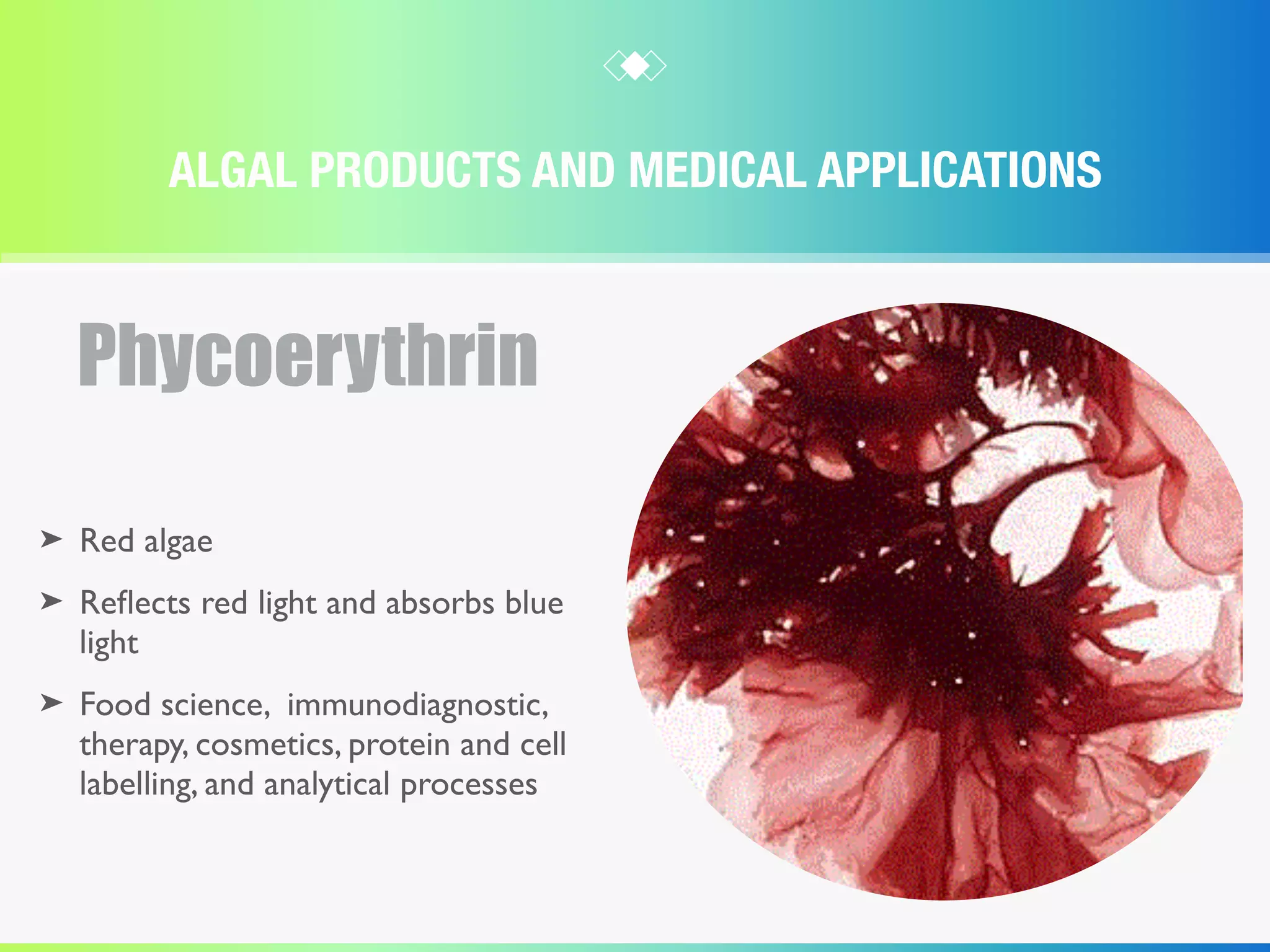 Algae Products and their Medical Applications | PDF