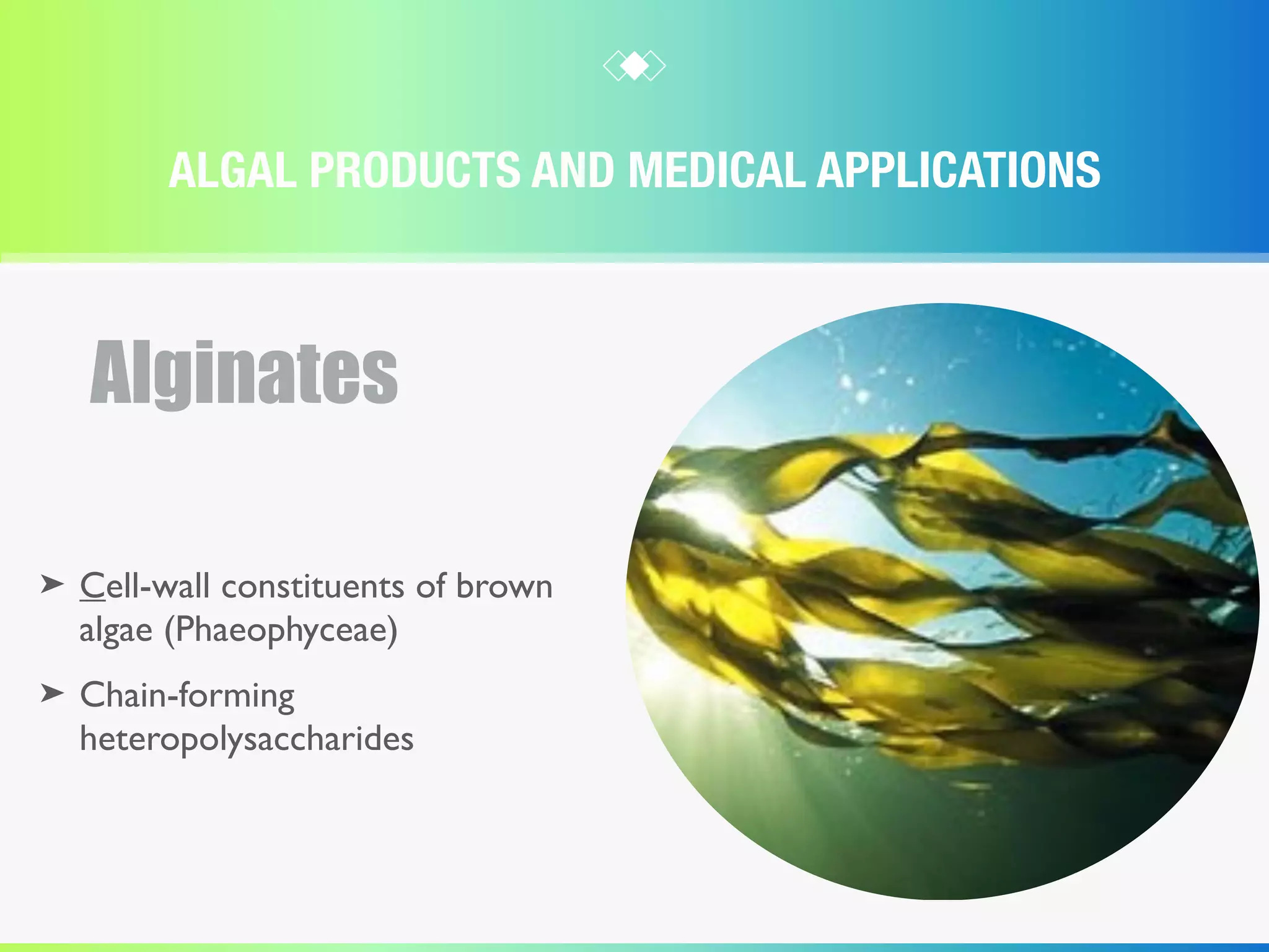 Algae Products and their Medical Applications | PDF