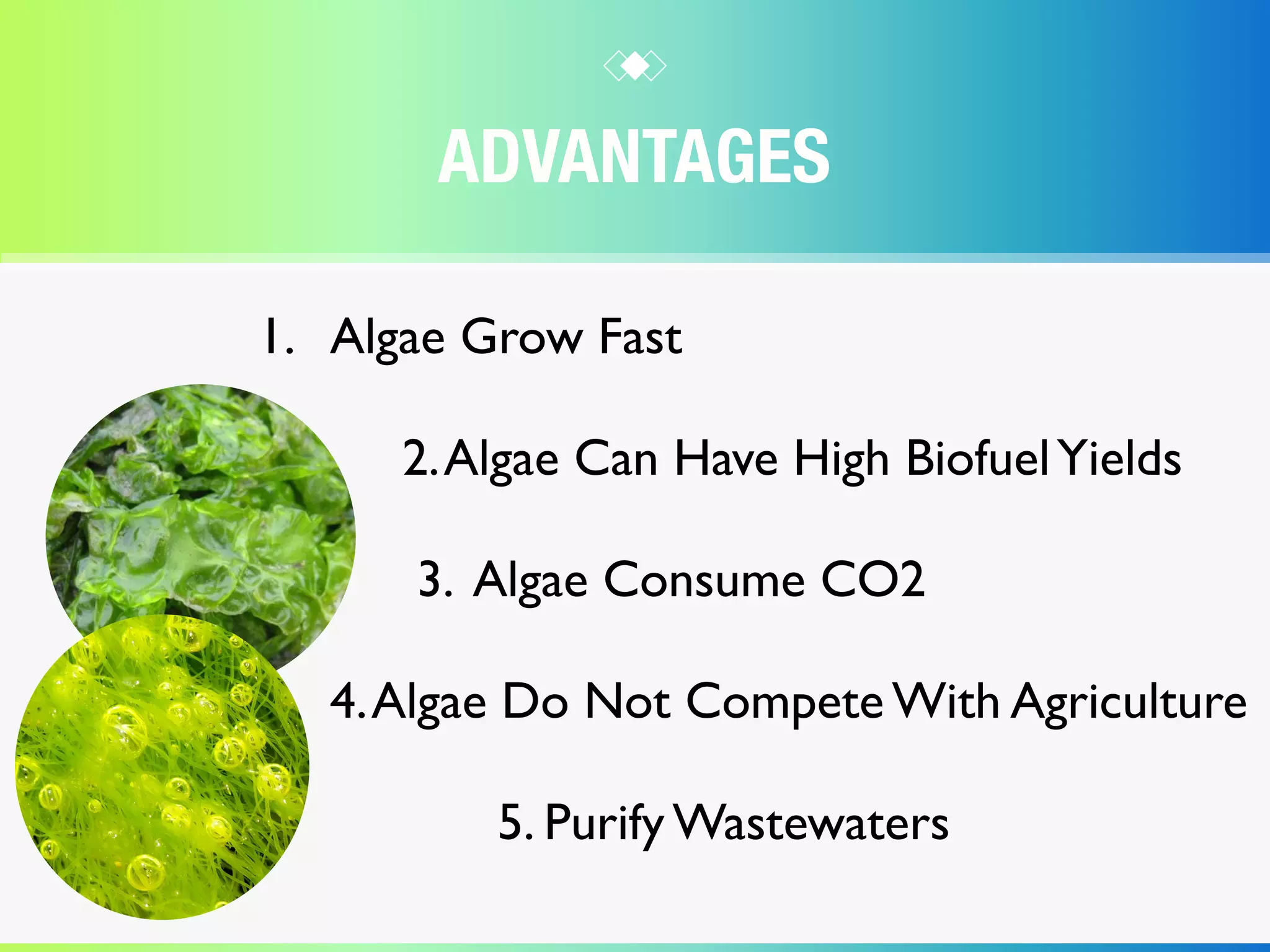 Algae Products and their Medical Applications | PDF