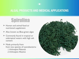 Algae Products and their Medical Applications | PDF