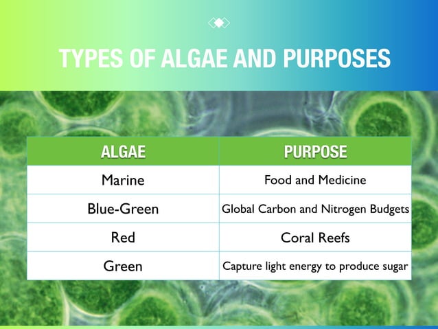 Algae Products and their Medical Applications | PDF