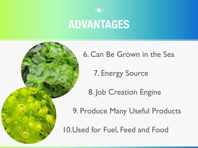 Algae Products and their Medical Applications | PDF