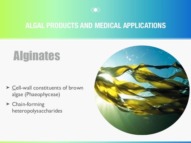 Algae Products and their Medical Applications