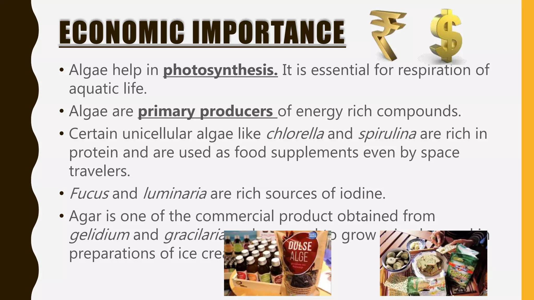 Algae. Classification of Algae. Chlorophyceae, Rhodophyceae ...