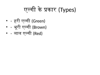 Algae_Final_PPT character importance advantage | PPTX