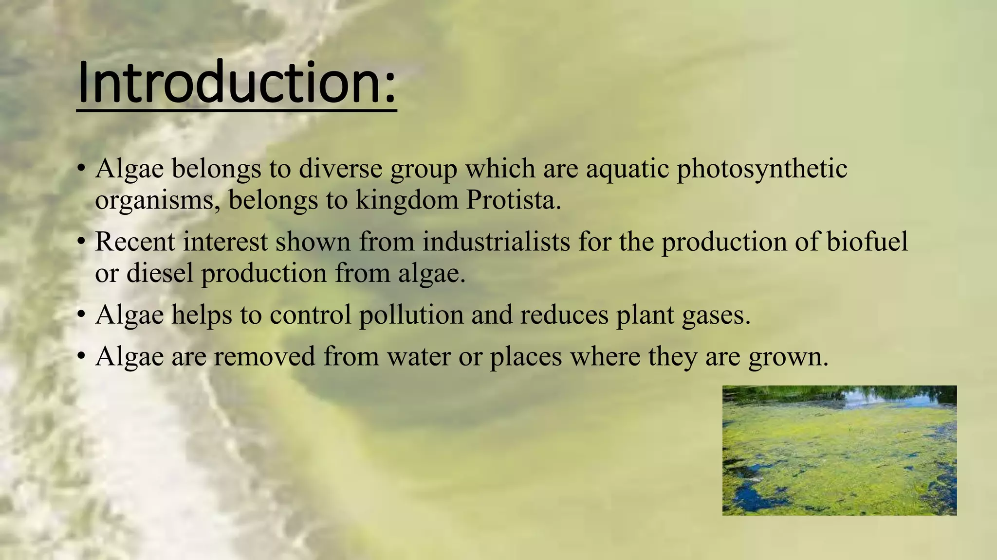 Algae fuel for future use | PPTX