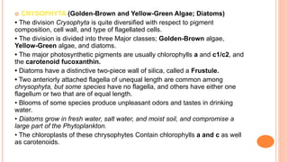 Algae (classifications) & Algal Blooms | PPT