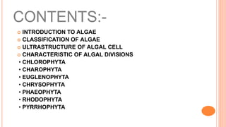 Algae (classifications) & Algal Blooms | PPT