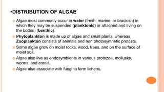 Algae (classifications) & Algal Blooms | PPT